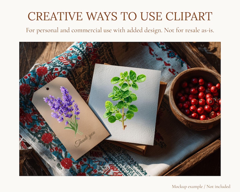 Watercolor Herb Clipart PNG – Basil, Rosemary, Parsley Kitchen Spices ...