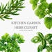 Herb Clipart – 24 Watercolor Pngs of Basil, Parsley, Rosemary & More ...