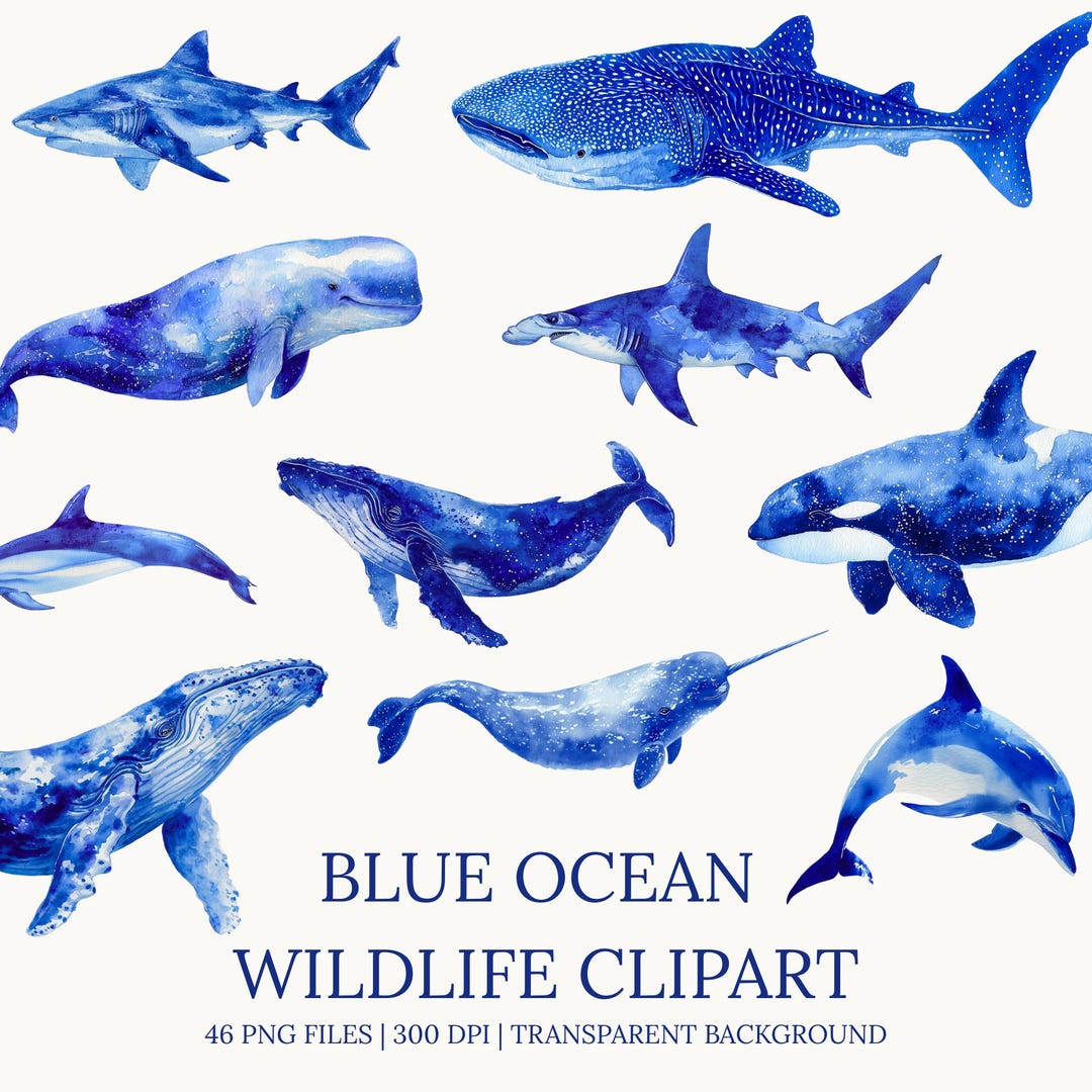 Watercolor Ocean Animals Clipart: Whale, Shark, Dolphin (digital ...