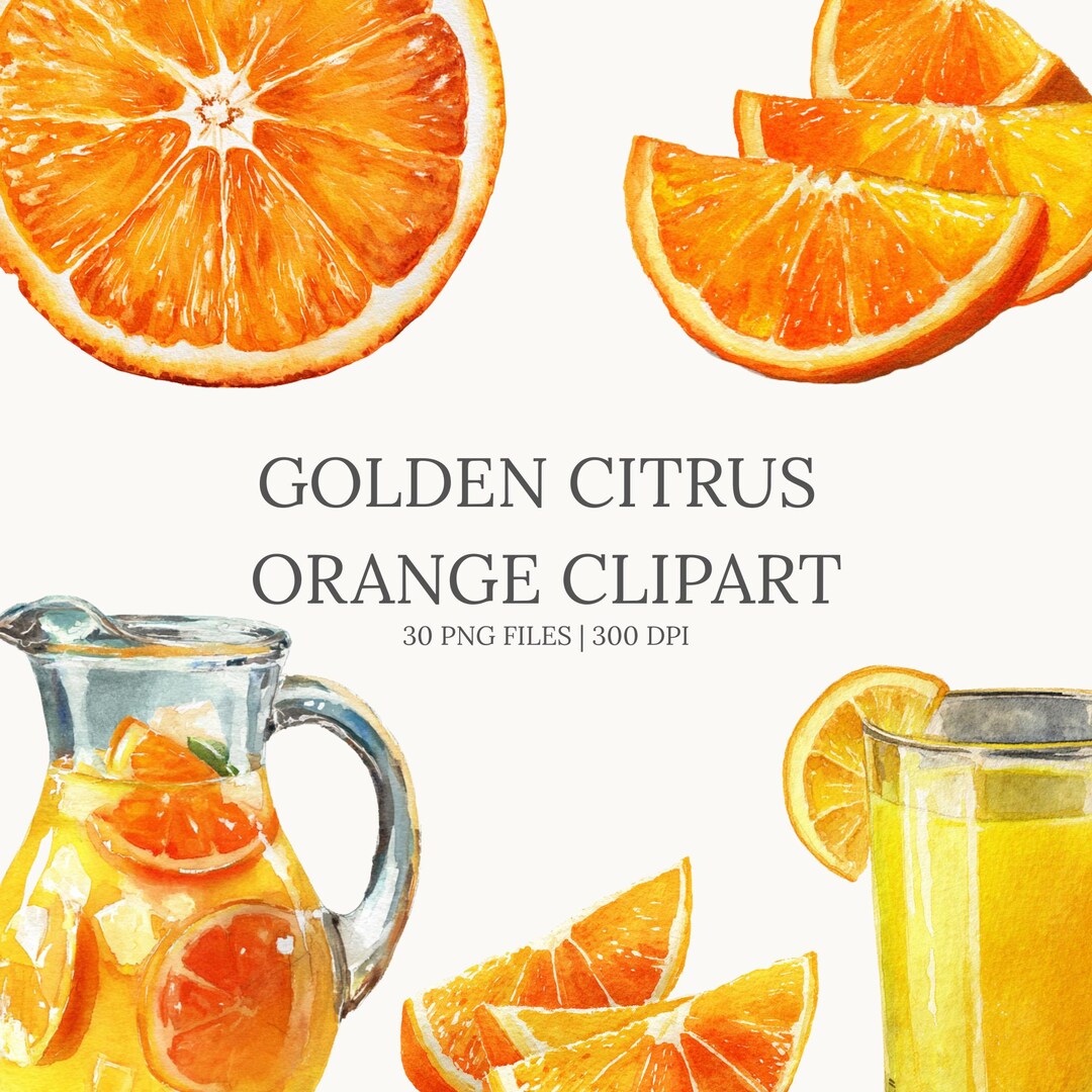 Watercolor Orange Clipart: Citrus Fruit Pngs for Summer Designs ...