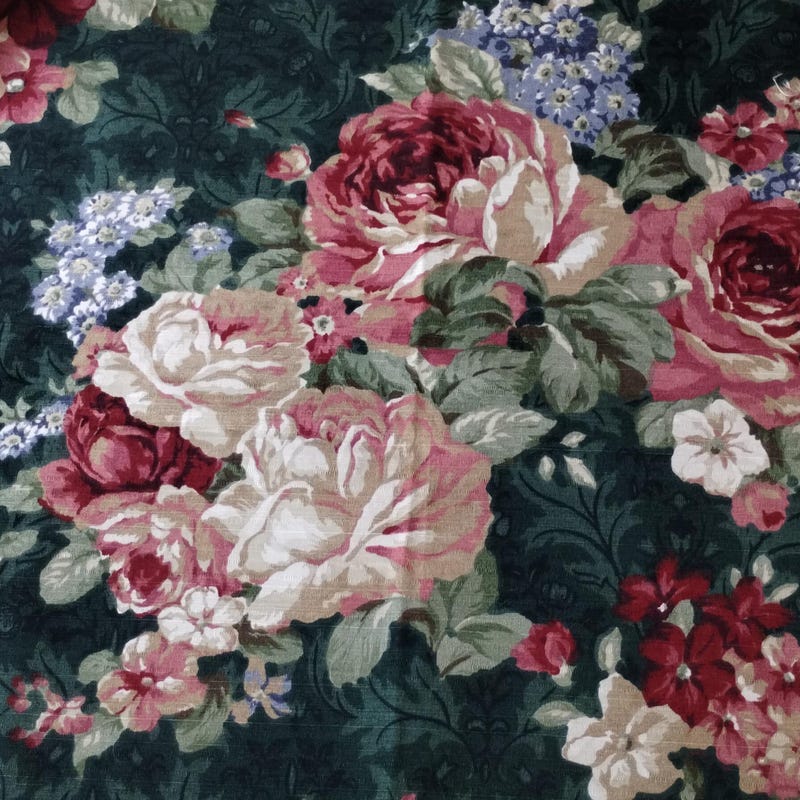 Pink Cabbage Rose - Etsy