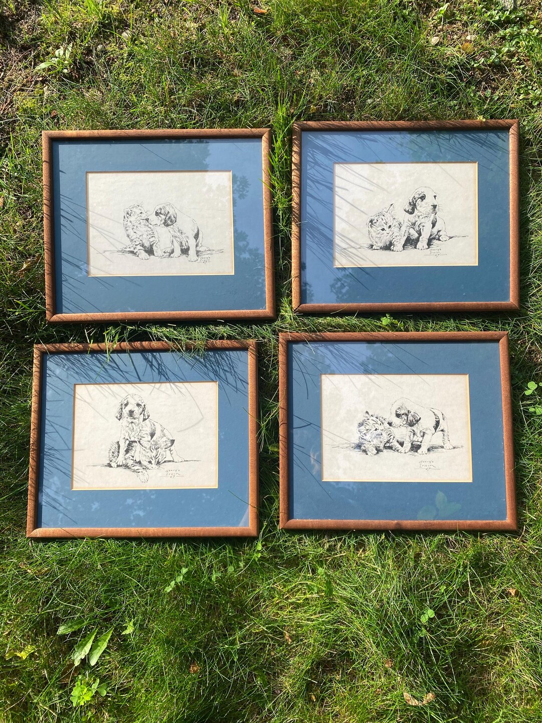 Set of 4 Framed Vintage Kitten & Puppy Prints by George Irwin (1969) - Etsy