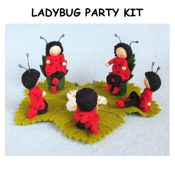 Ladybug Party Kit Summer Ladybird Garden Woodland | Etsy