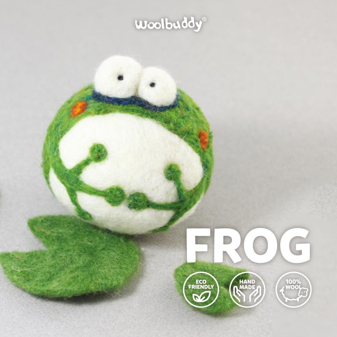 Frog Needle Felting Kit, Craft Kit, DIY Kids Toy, Felting Kit for ...