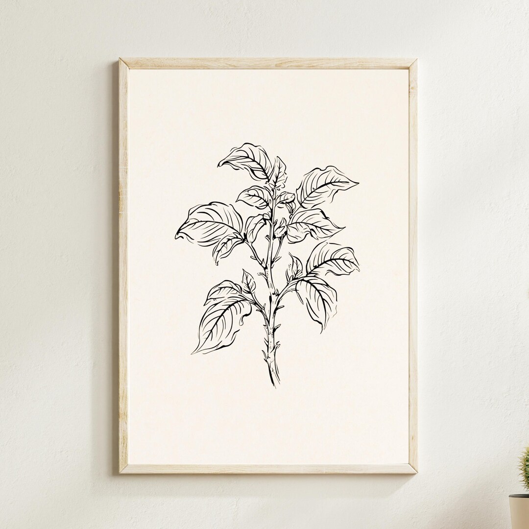 Basil Herb Botanical Print – Fine Line Kitchen Wall Art – Minimalistic ...
