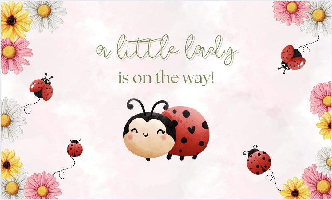 Ladybug Baby Shower Backdrop: Editable Canva Template (digital Download ...