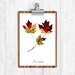 Autumn Leaves Botanical Print Set - 4 Fall Tree Leaves Art Prints ...