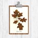 Red Oak Leaves Print - Autumn Home Decor - Botanical Print ...