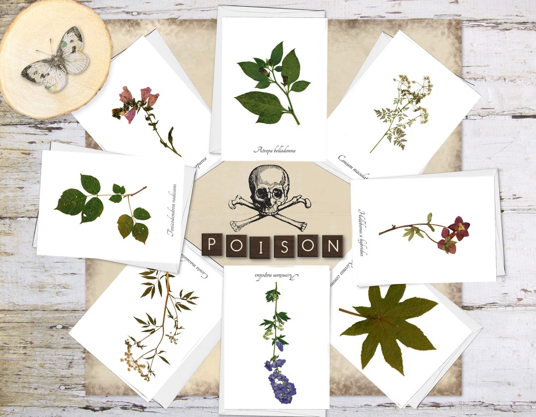 Poisonous Plants Greeting Card Pack - Collection of 8 Size A7 Blank ...