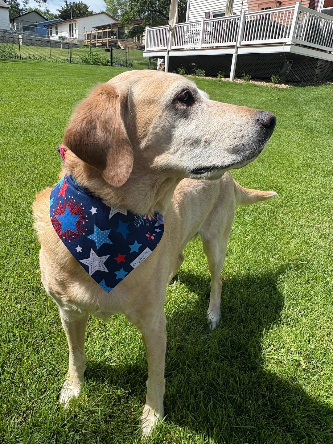Red, White and Blue Star Reversible Dog Bandana Scrunchie - Etsy