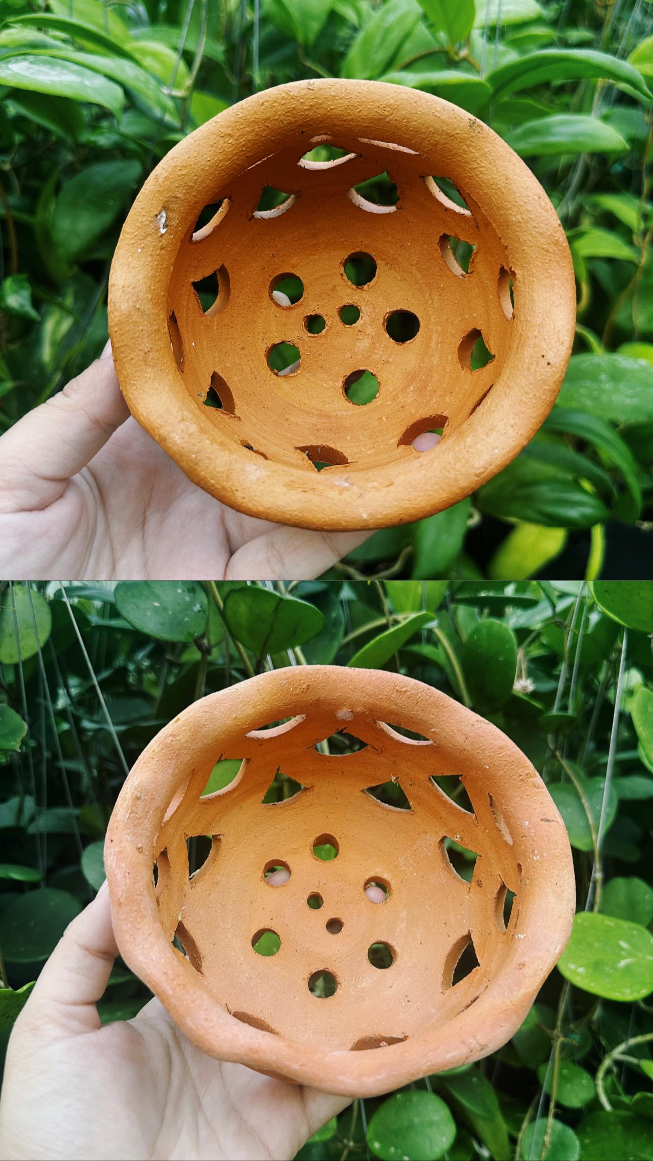 SIRENA Terracotta Orchid Pot - Cut Out Planter - 4" or 6" Pot for ...