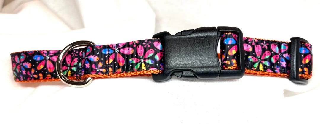 Flowers, Orange, Multi Color, Dog Collar - Etsy