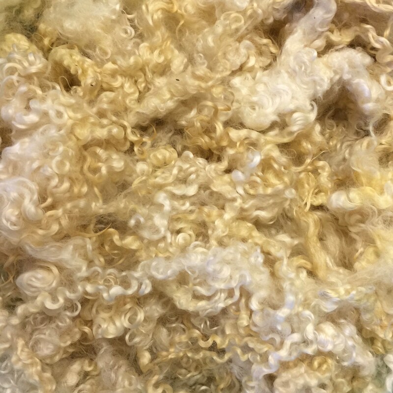 Curly Wool Yarn - Etsy