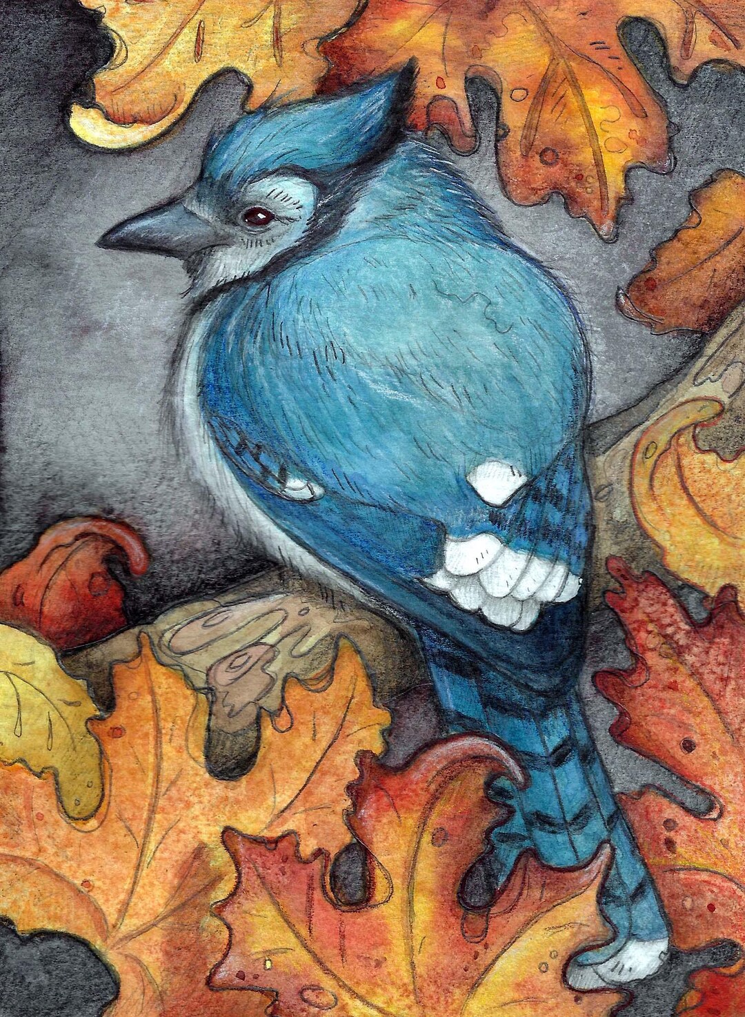Blue Jay in the Maples - Rug Hooking Pattern by Lisa Ferguson - Etsy