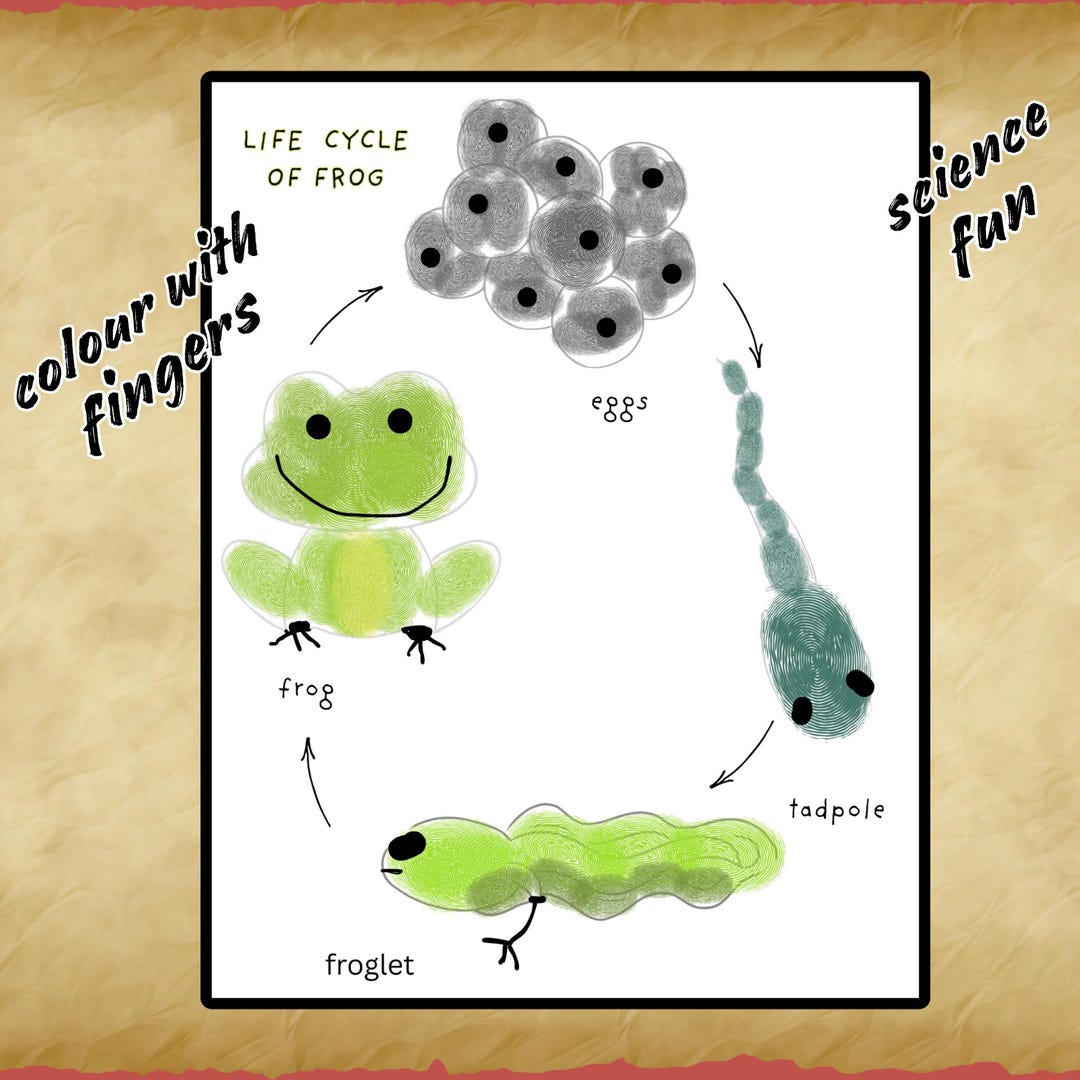 Fingerprint Frog Life Cycle | Hands-on Preschool Science Craft ...
