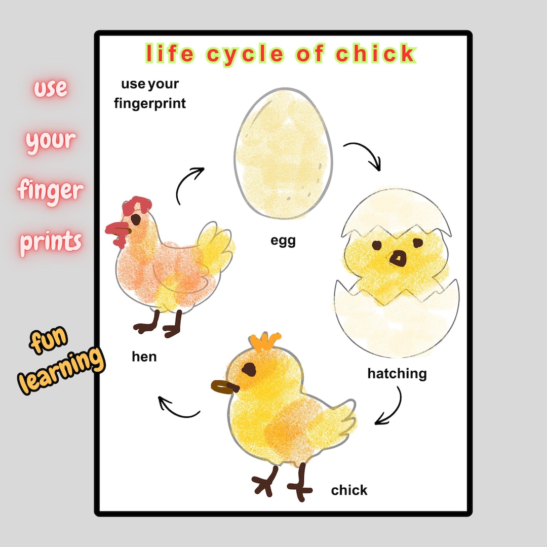 Chick Life Cycle Fingerprint Art | Preschool Farm Activity (digital ...