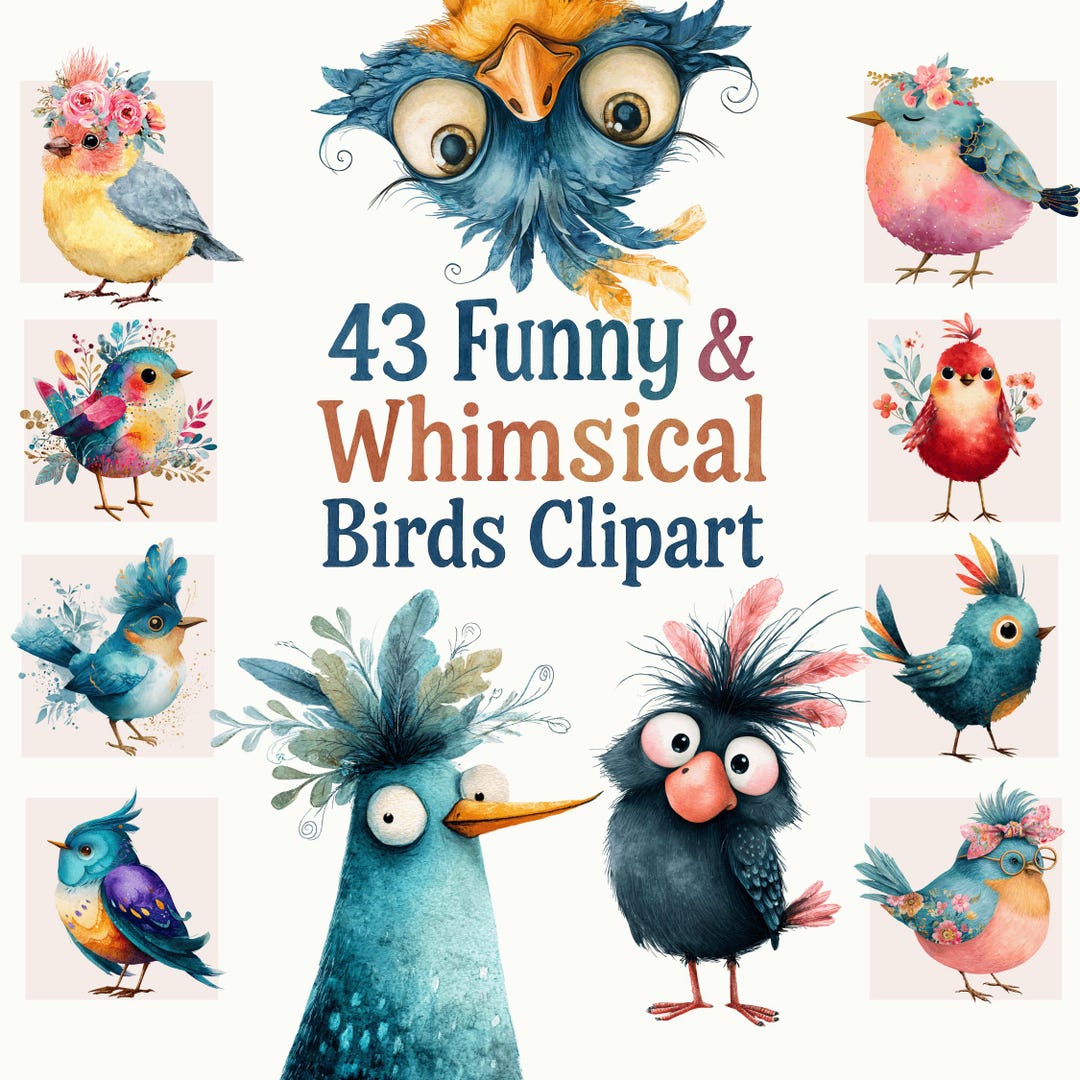 43 Funny & Whimsical Birds Clipart PNG | Colorful Hand Painted Bird ...