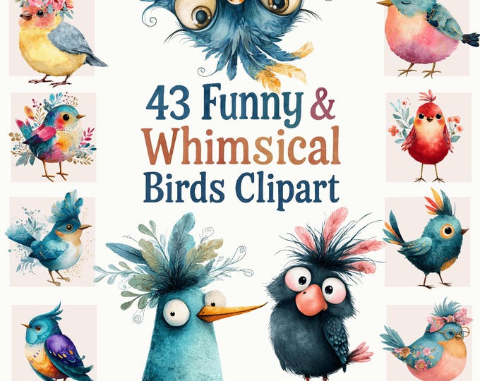 Funny Whimsical Bird Clipart Set: 18 PNG Files, Quirky Watercolor Birds ...