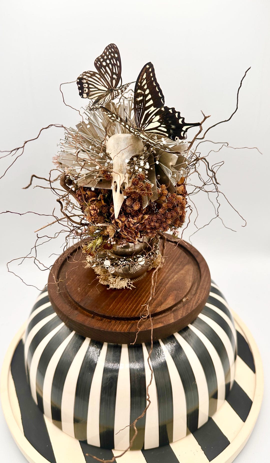 Real Insect Real Bird Skull Western Jackdaw Butterfly Natural Flower ...