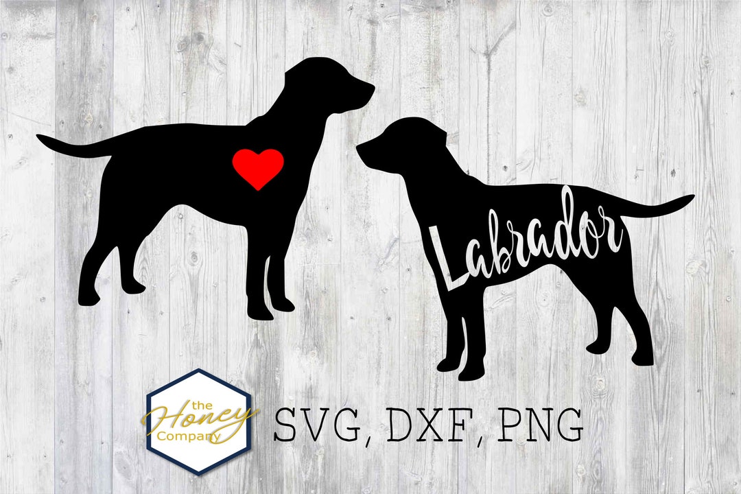 Lab SVG PNG DXF Labrador Outline Instant Download Silhouette Cricut ...