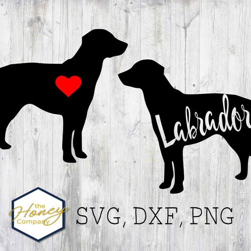 Labrador Retriever Cut File SVG EPS DXF Instant Download - Etsy UK