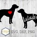 Lab SVG PNG DXF Labrador Outline Instant Download Silhouette Cricut ...