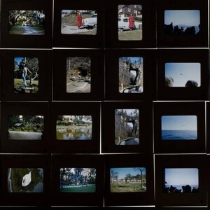 Vintage Lot of 45+ Color Photograph Slides 1950s Kodachrome Vacation - Etsy