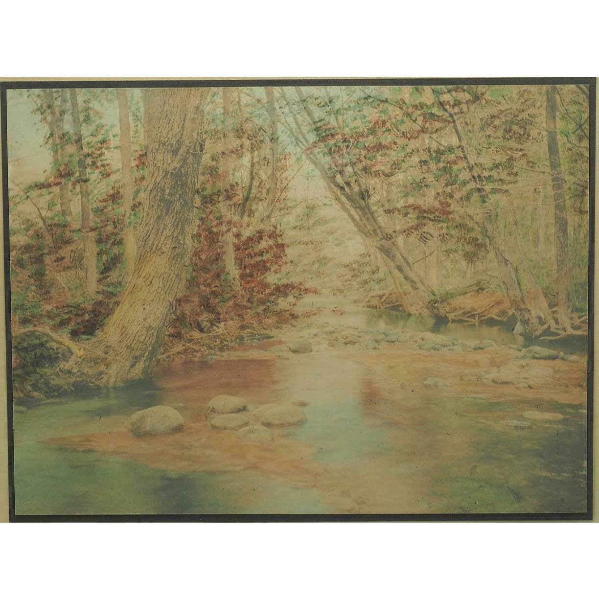 Antique Fred Thompson Woodland Symphony Hand Tinted Photograph Framed ...