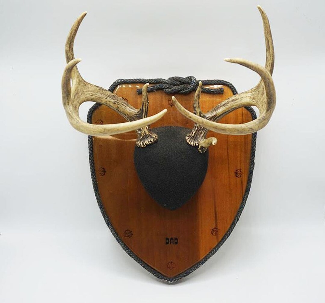 Mancave Garage Decor Whitetail Deer Antlers 8 Point Mount - Etsy