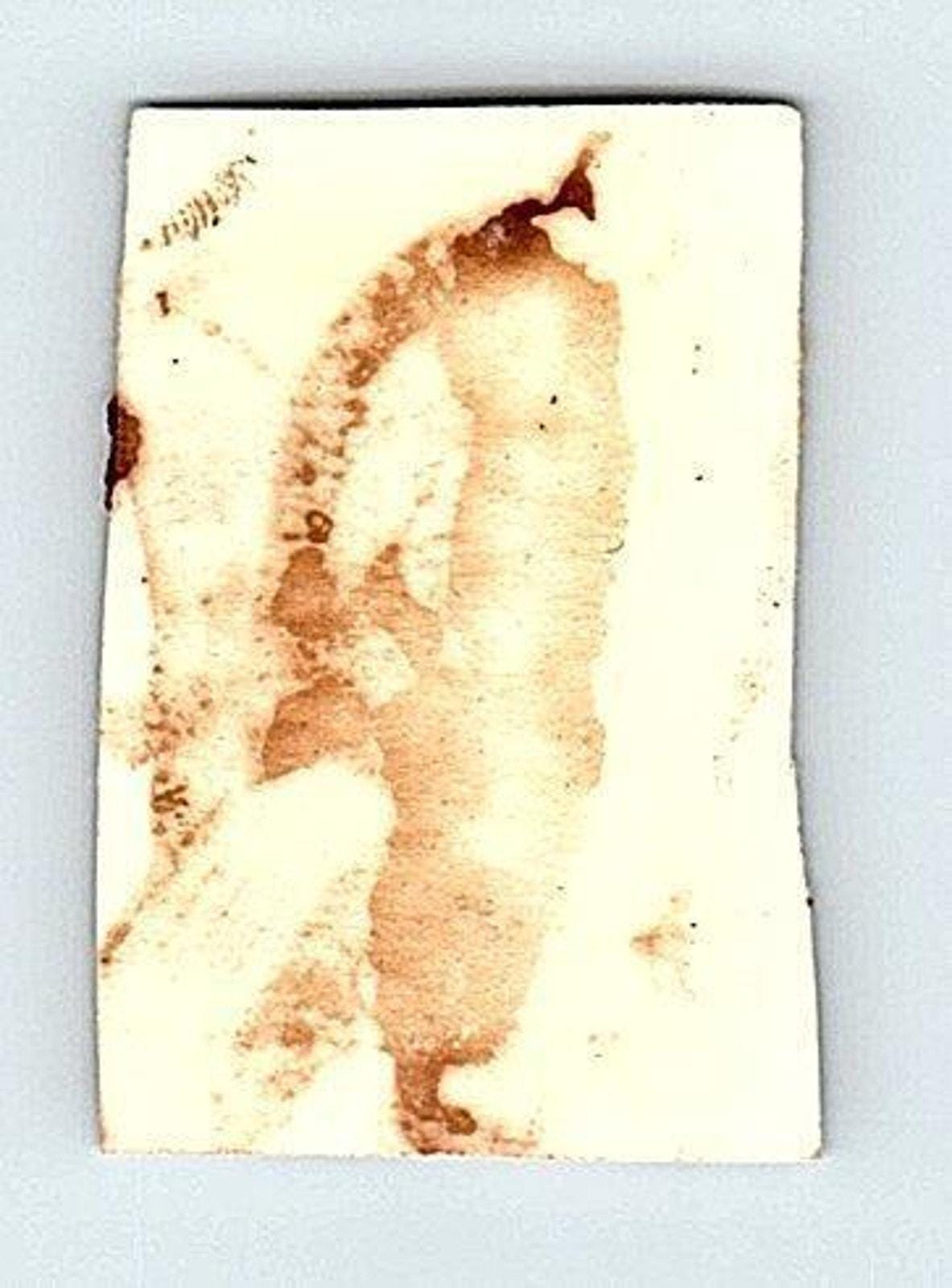 Girl Bosom Pin up Risque Original B&W Nude Girlie Photo 1920's - Etsy