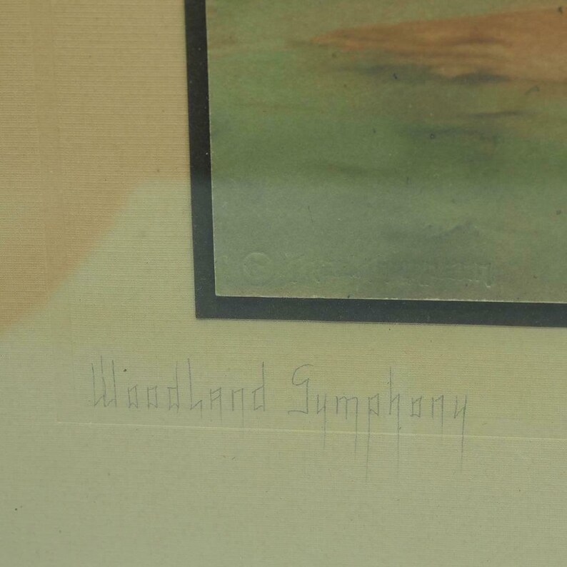 Antique Fred Thompson Woodland Symphony Hand Tinted Photograph Framed ...