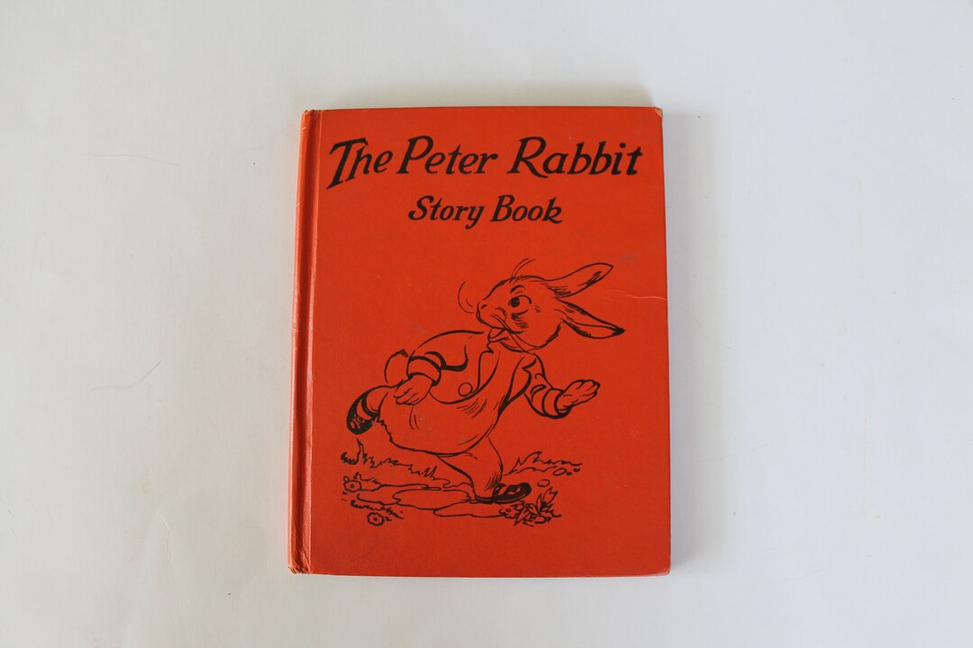 Vintage 1930's "the Peter Rabbit Story Book" by Bess Goe Willis | Cute ...