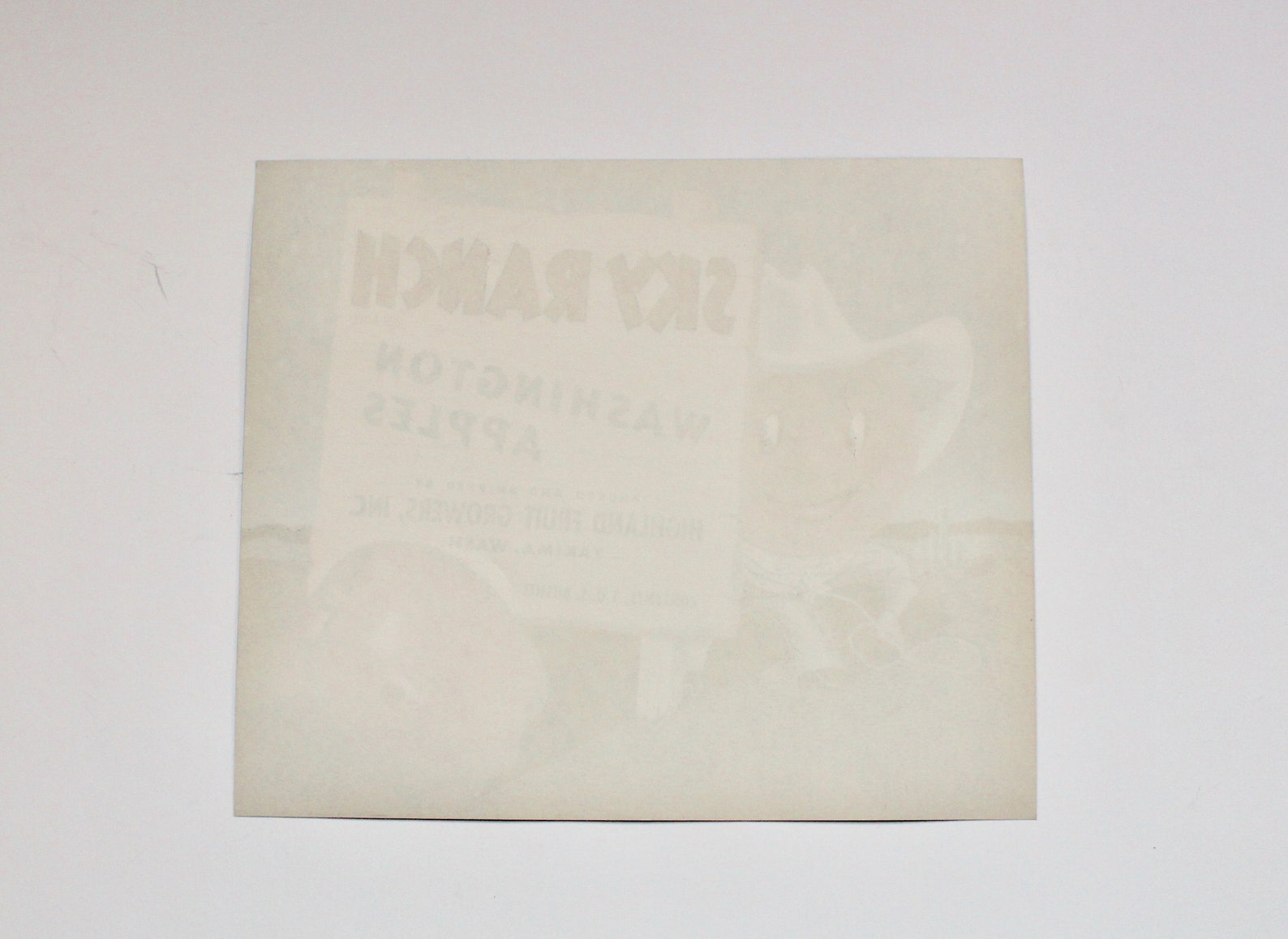 Vintage 1950's Fruit Crate Label- Sky Ranch Brand Washington Apples ...