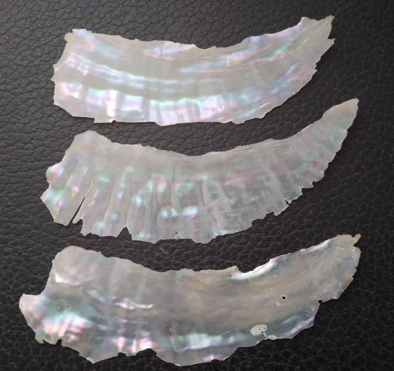 Awabi Shell Veneer, for Inlay and Crafts, Jewellery, Screens, Boxes ...