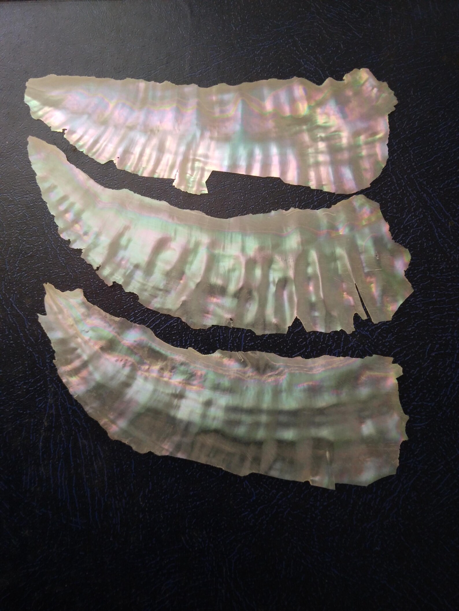 Awabi Shell Veneer, for Inlay and Crafts, Jewellery, Screens, Boxes ...