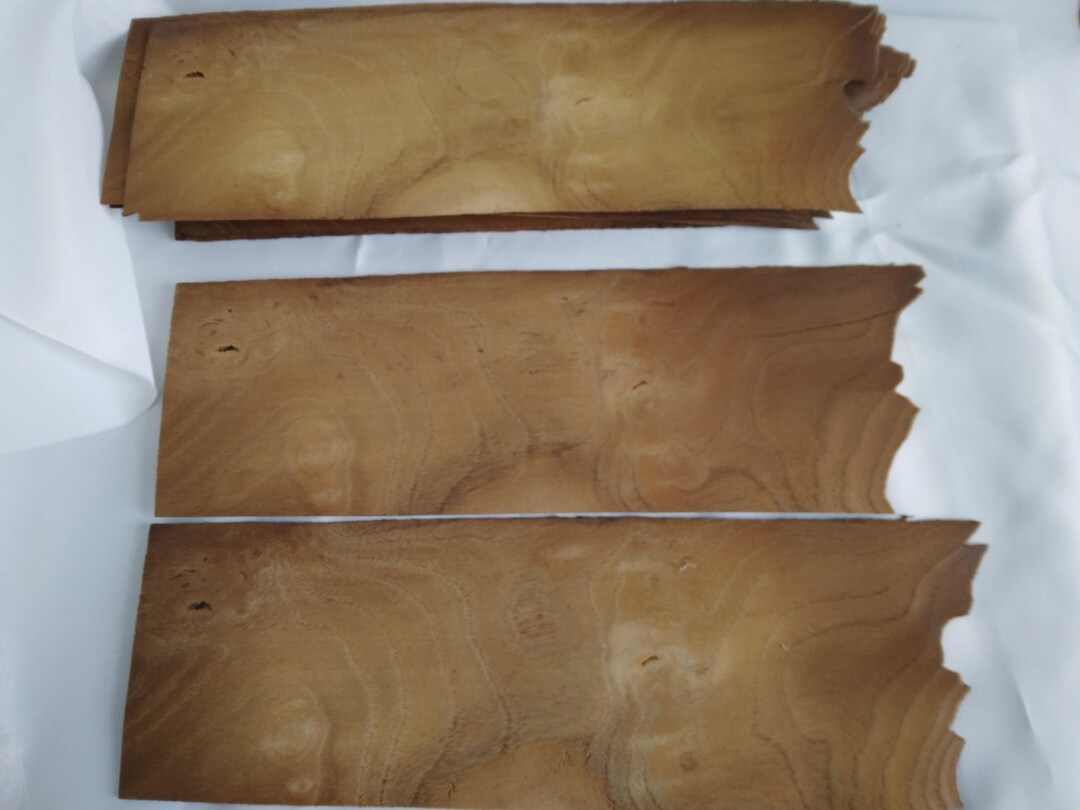 Mulberry Wood Veneer, Small Slices - Etsy