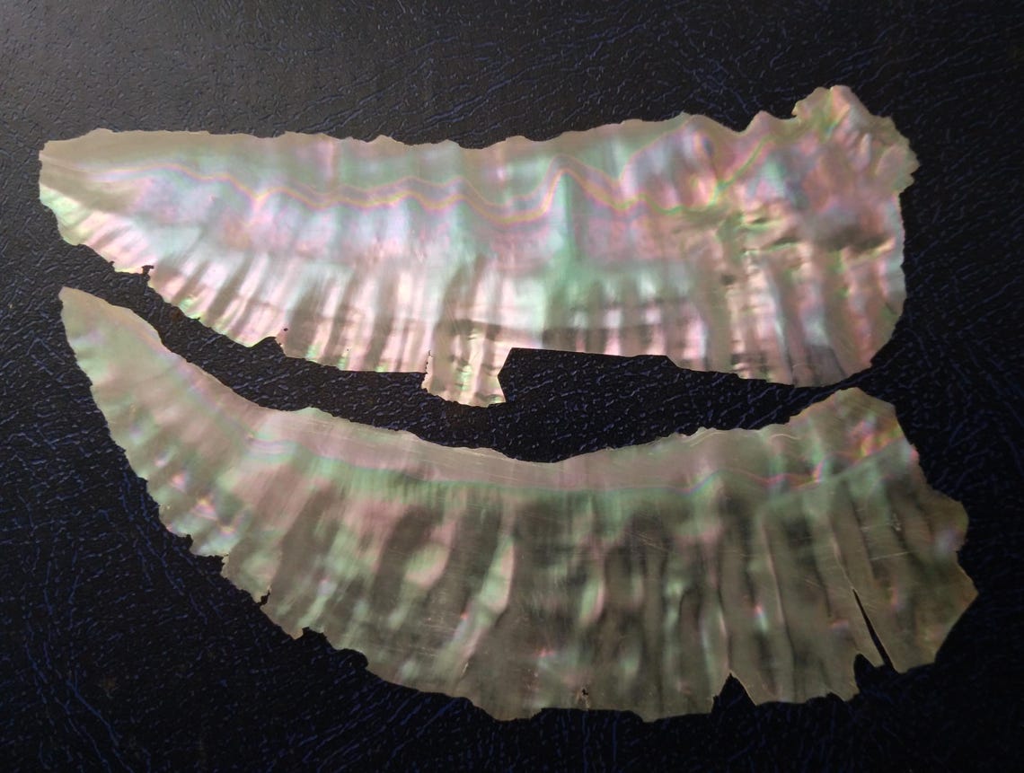 Awabi Shell Veneer, for Inlay and Crafts, Jewellery, Screens, Boxes ...