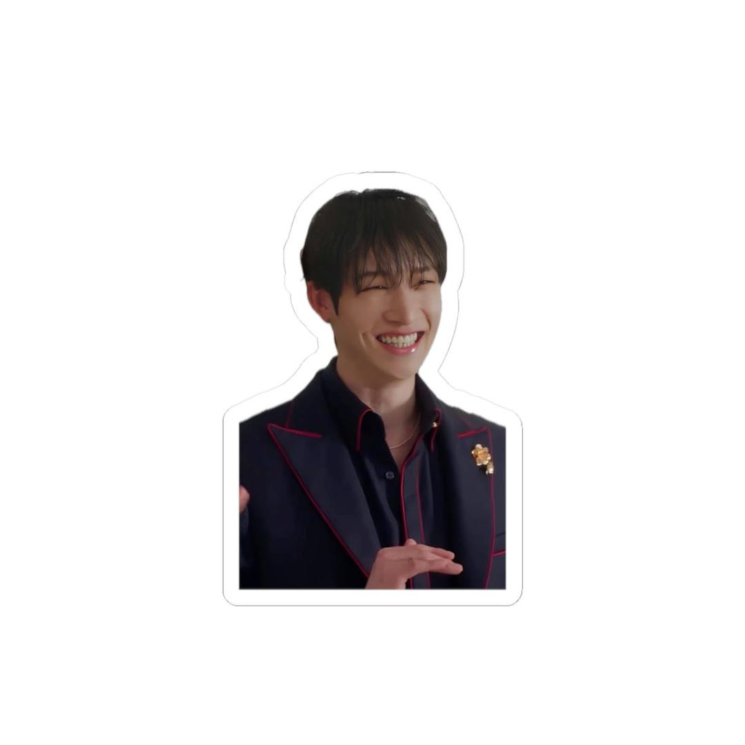 Cute Bang Chan Stray Kids Kiss-cut Sticker - Etsy