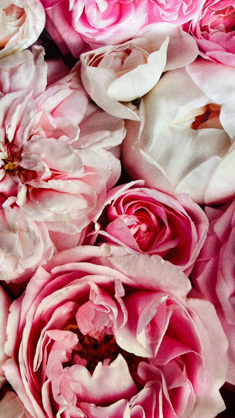 Satin Pink Peonies Fabric by Yard, Big Pink Flowers Satin Cotton Fabric ...