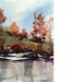Aspen Colors Original Watercolor Painting - Etsy