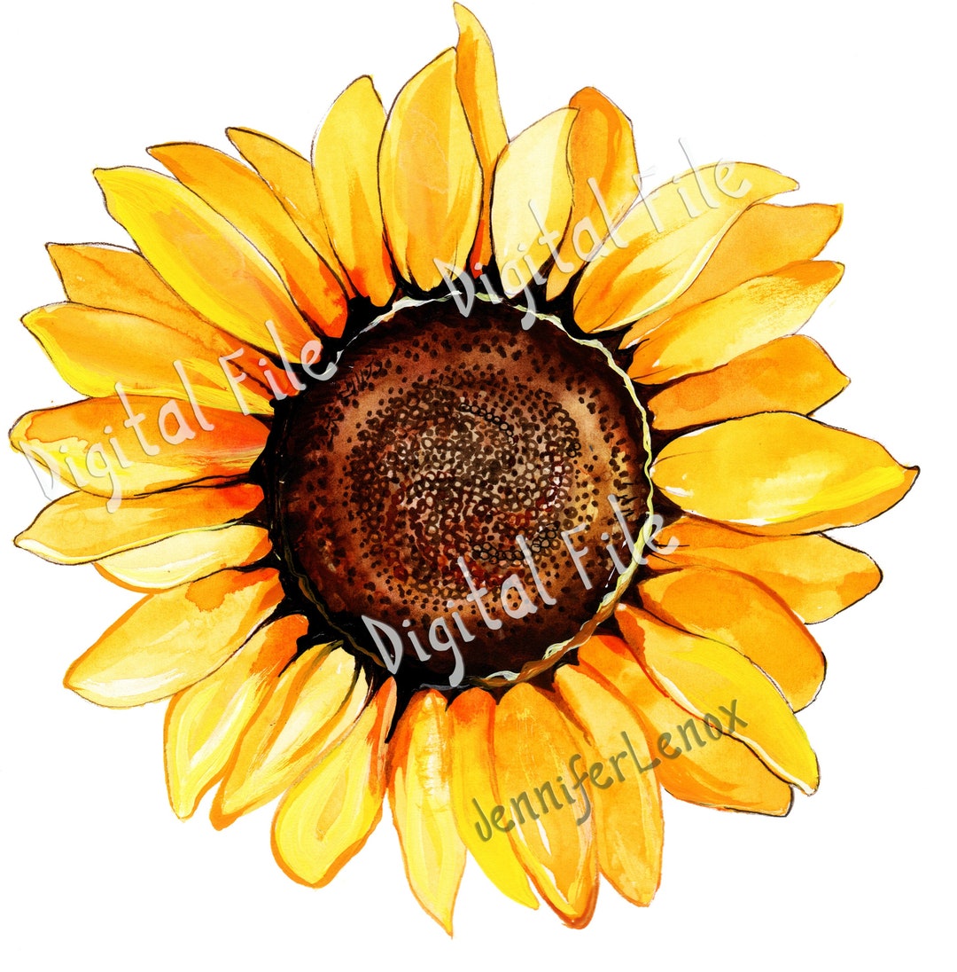 Sunflower Watercolor Clipart Digital File Download Printable JPG, PNG ...
