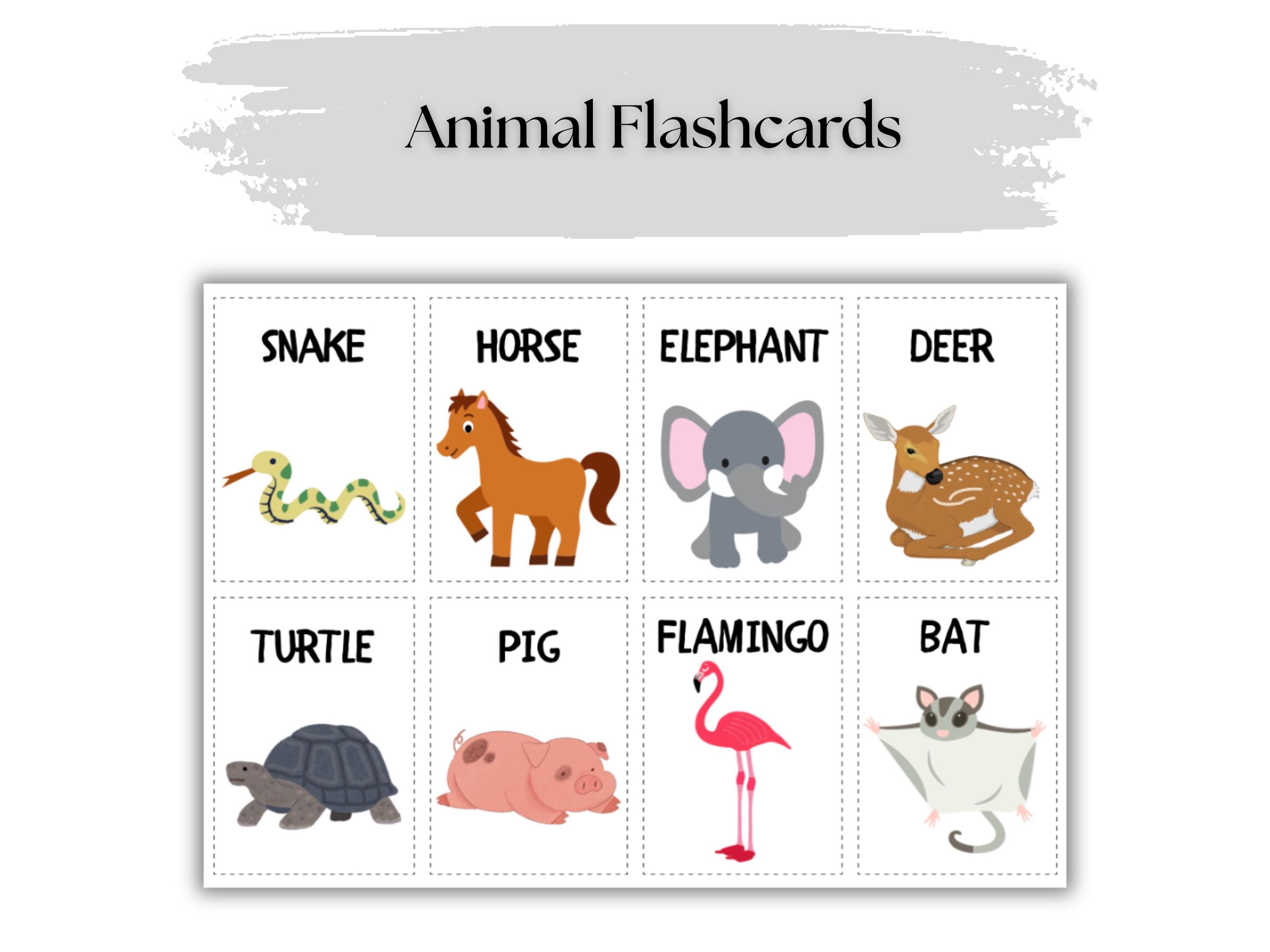 Printable Flash Cards for Kids - Weather, Shapes, Emotions & Animal ...