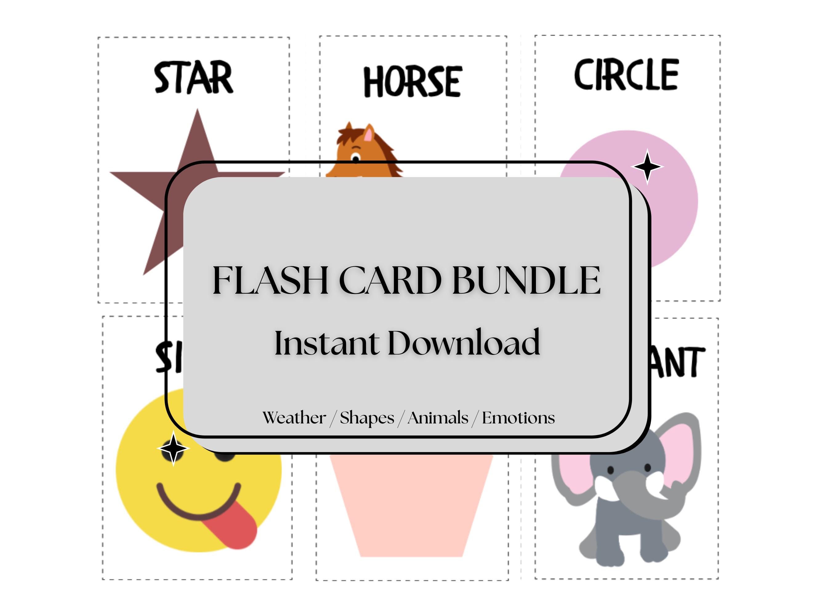 Printable Flash Cards for Kids - Weather, Shapes, Emotions & Animal ...