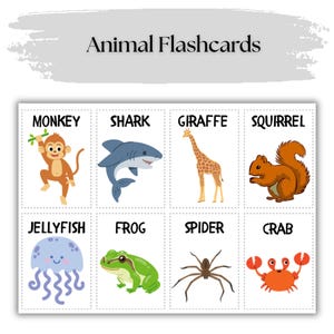 Printable Flash Cards for Kids - Weather, Shapes, Emotions & Animal ...