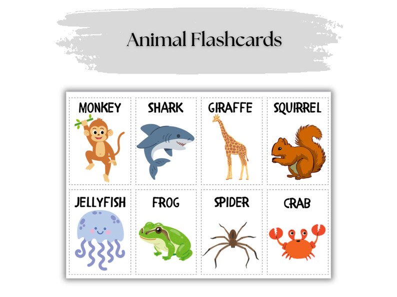 Printable Flash Cards for Kids - Weather, Shapes, Emotions & Animal ...