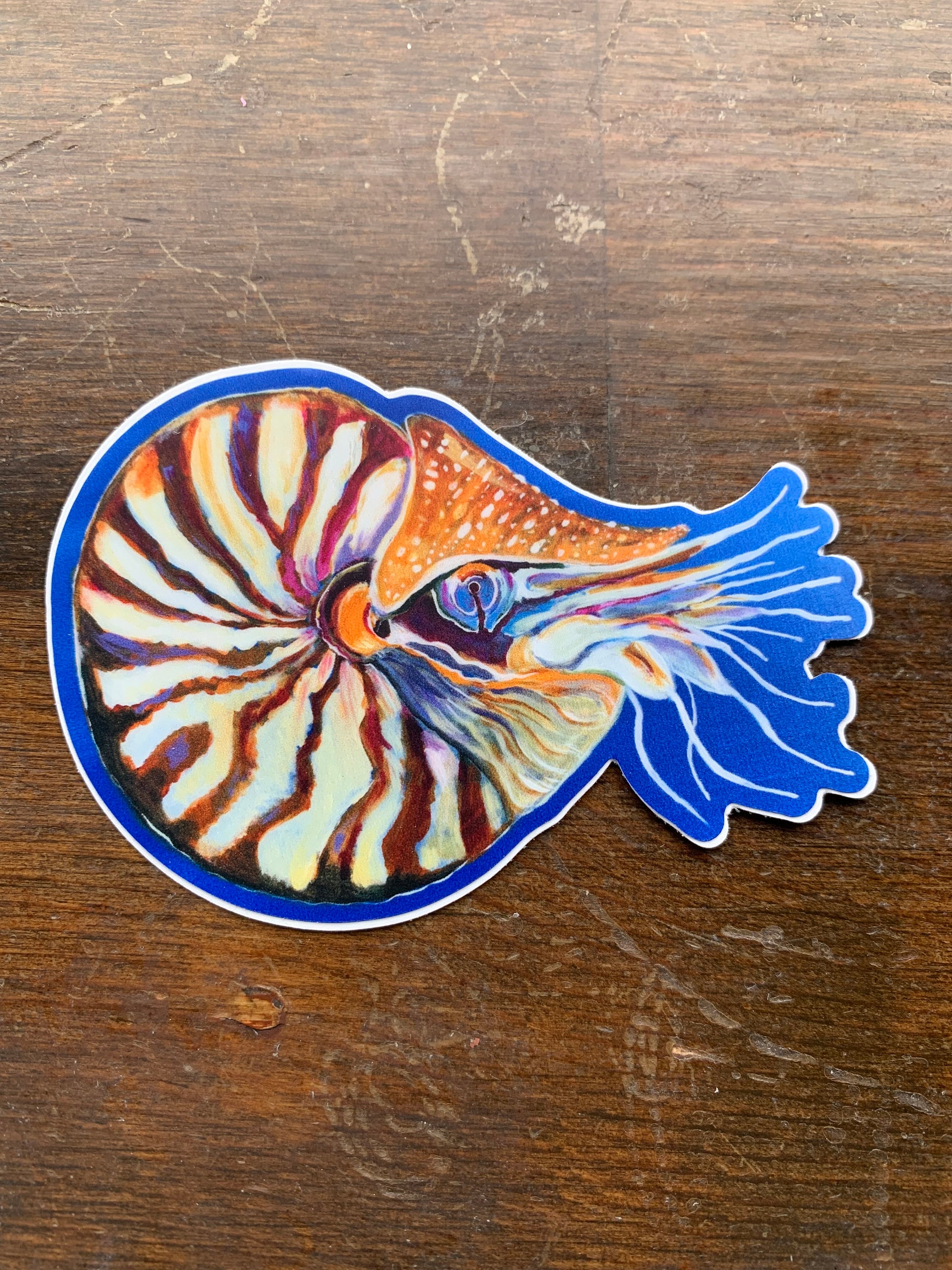 Nautilus Vinyl Sticker: Underwater Painting Series - Etsy