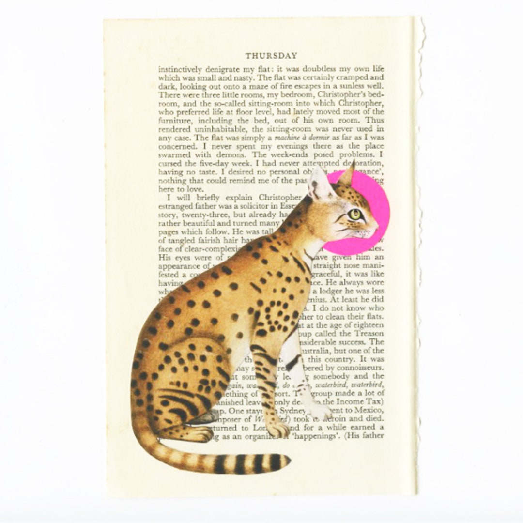 ORIGINAL COLLAGE, Cheetah Art - Thursday - Etsy