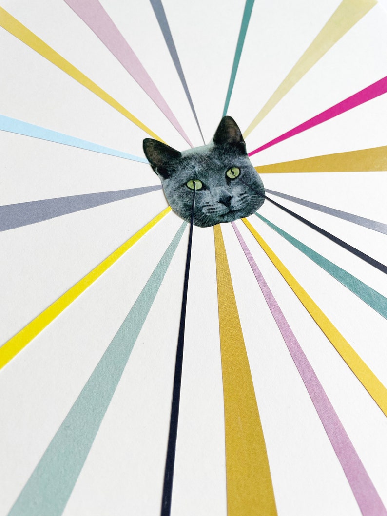ORIGINAL COLLAGE - Cat's Eyes - Etsy