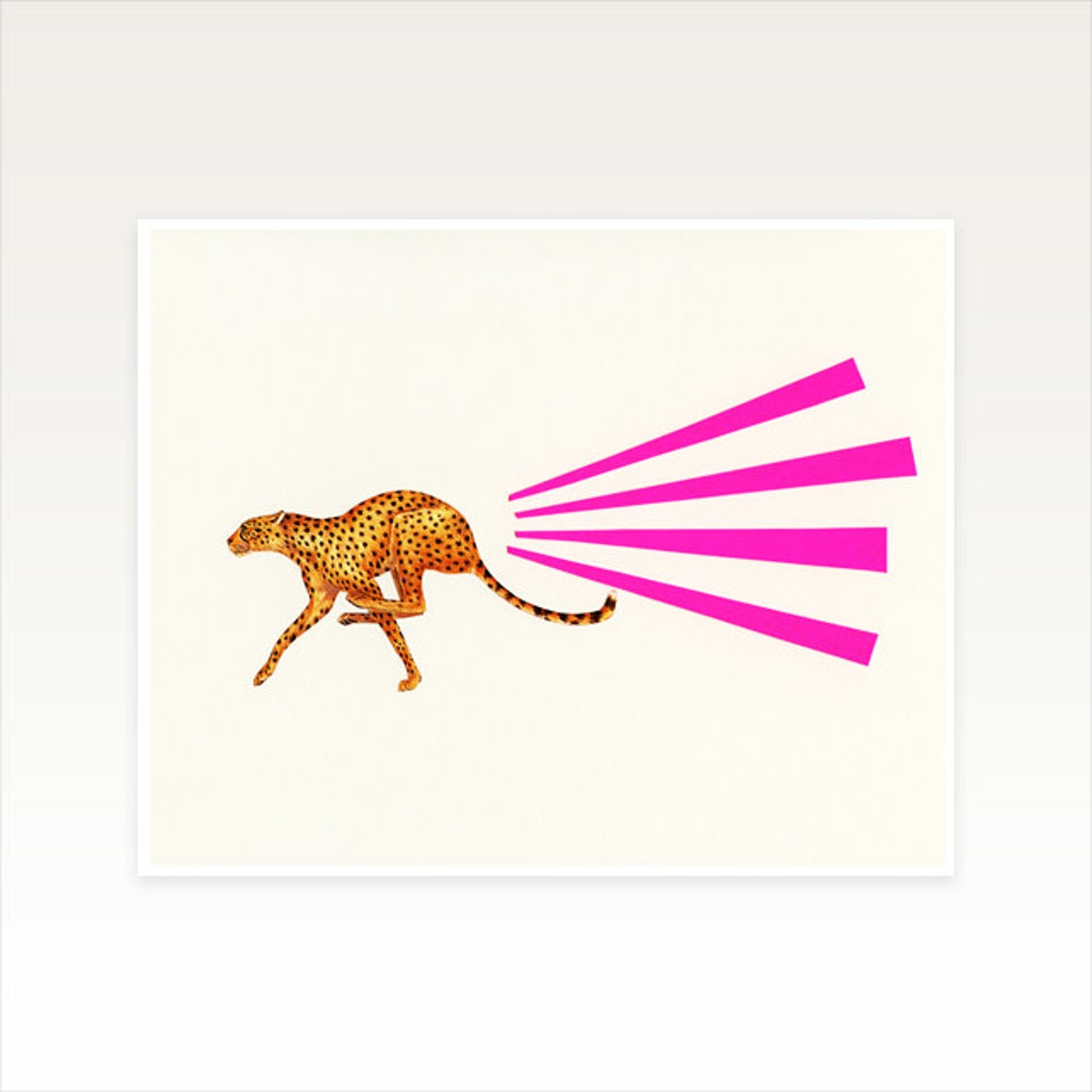 Cheetah Print Safari Animal Prints Animal Print Nursery | Etsy