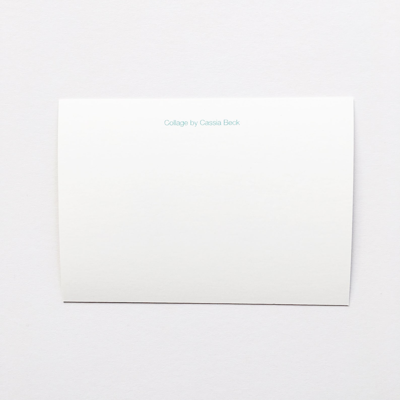 Cactus Postcard Set Cactus Gifts Cacti | Etsy